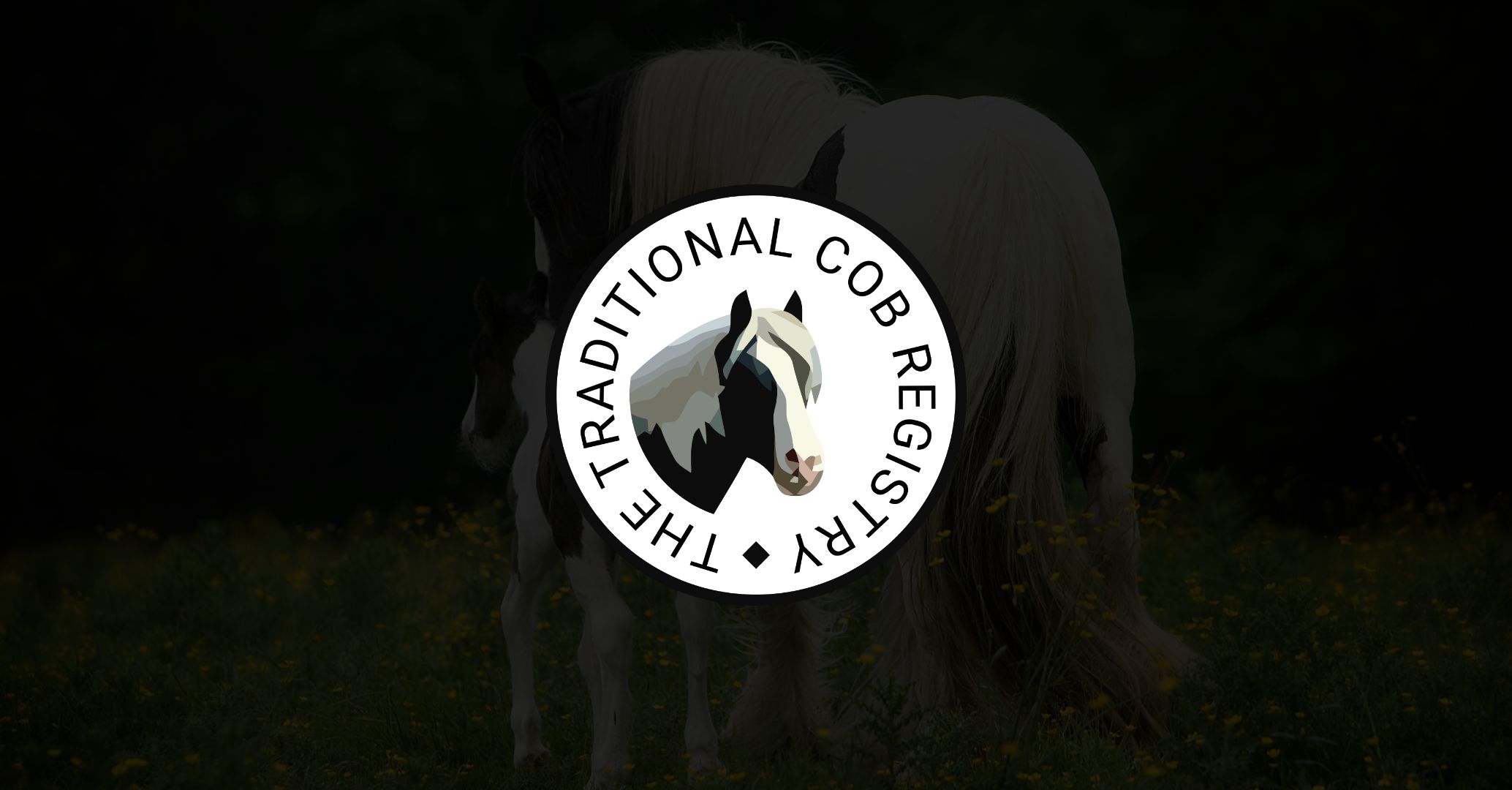 Gypsy Cob Breed Standard - The Traditional Cob Registry