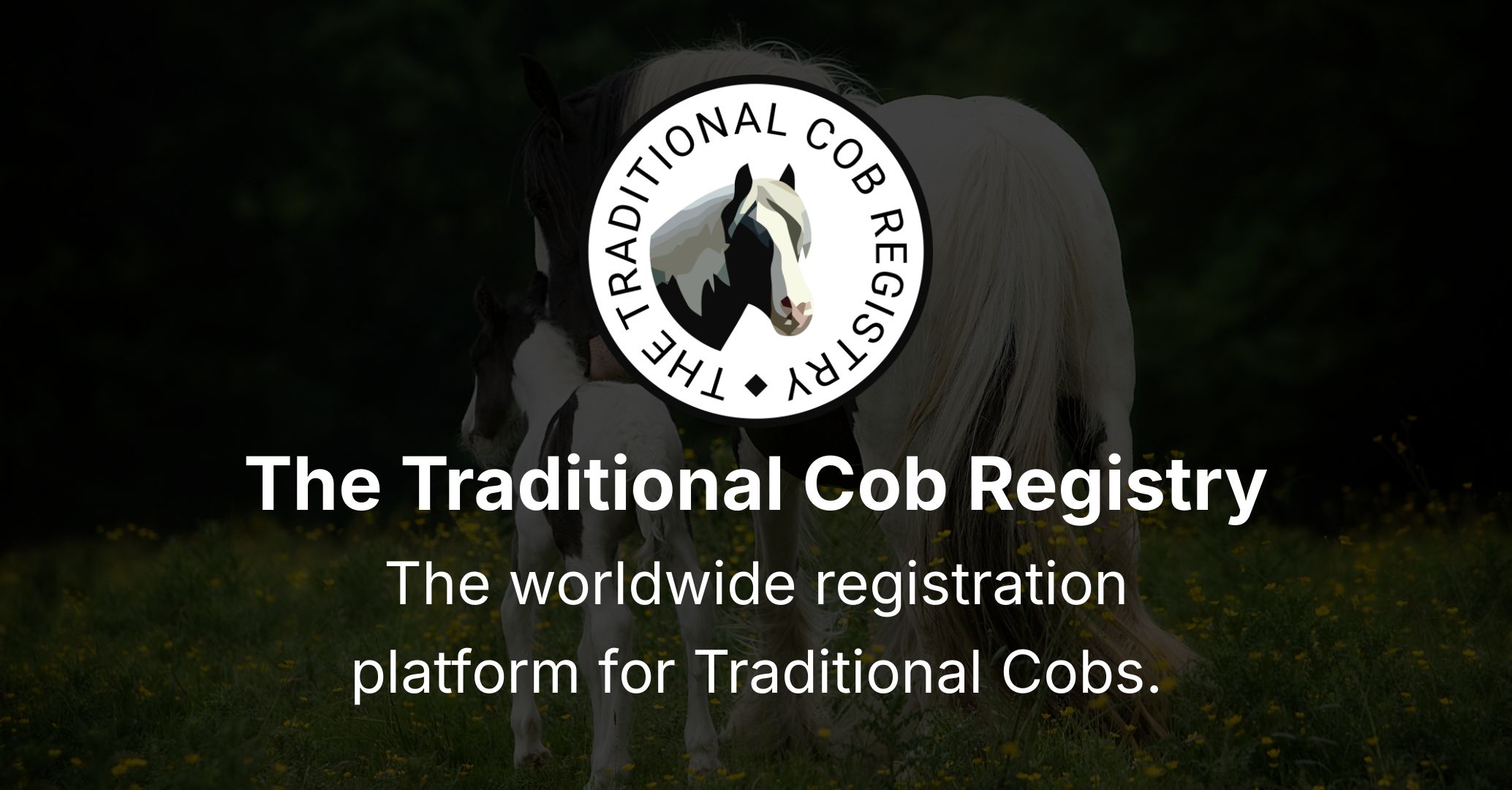 Gypsy Cob Breed Standard - The Traditional Cob Registry