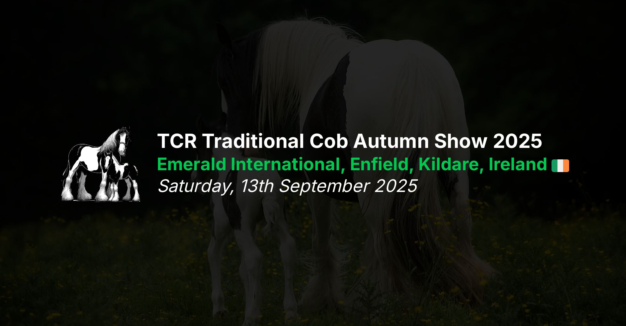 TCR Traditional Cob Autumn Show 2025 - The Traditional Cob Registry