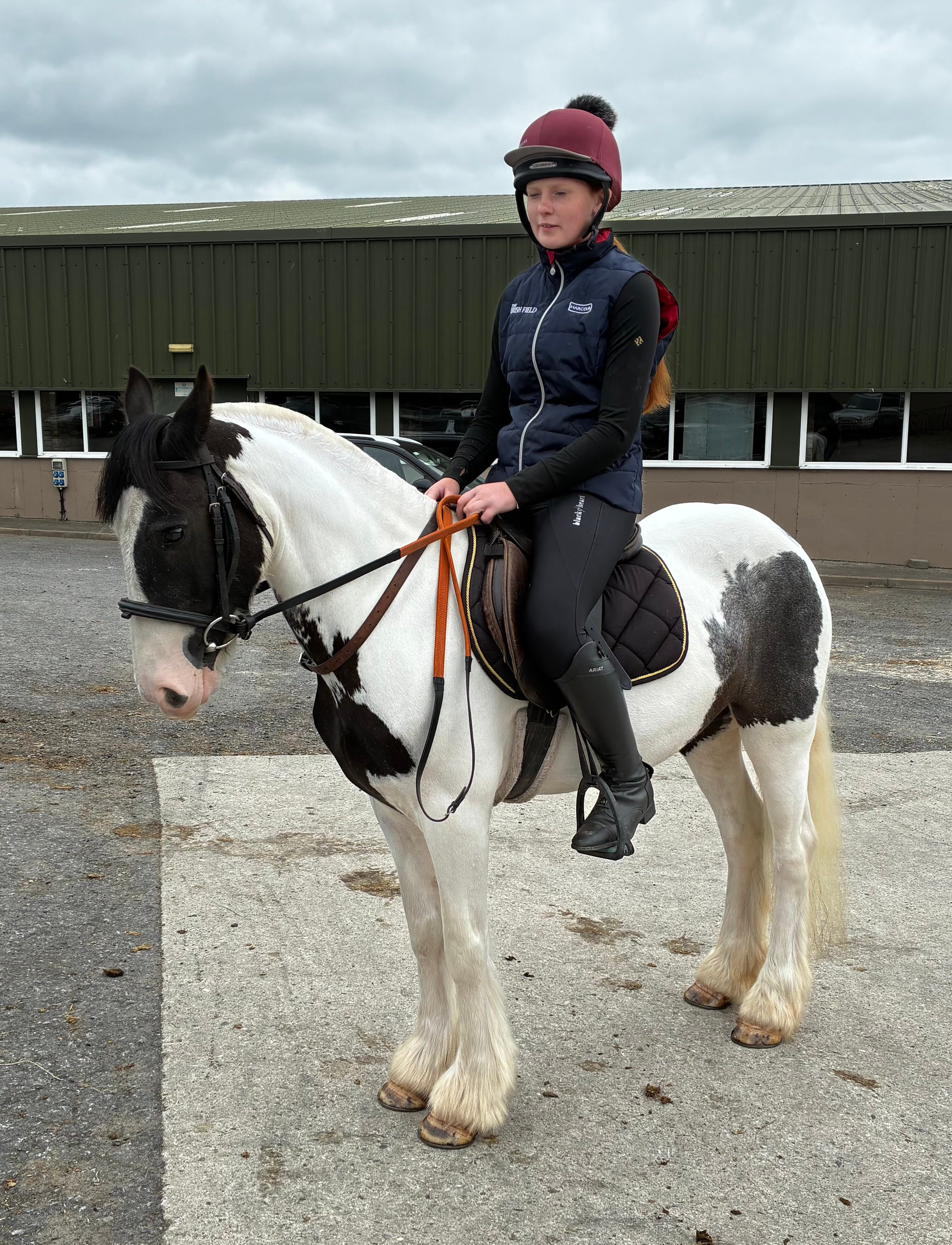 Gowan our Tina - The Traditional Cob Registry