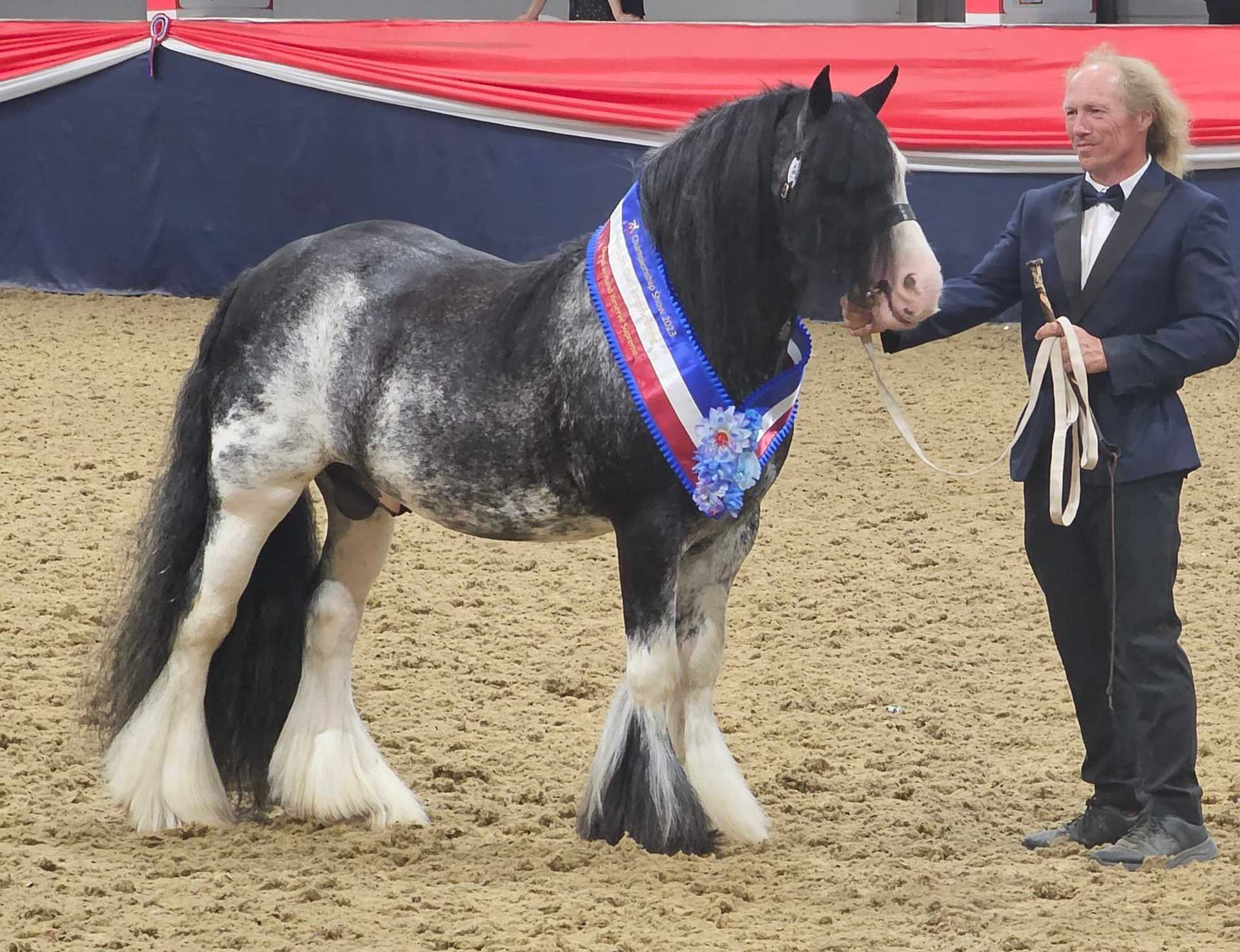 The Ace of Kings - The Traditional Cob Registry